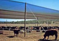 Protective Canopies & Netting for crops, stock, vehicles, water & predators