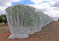 Protective Canopies & Netting for crops, stock, vehicles, water & predators